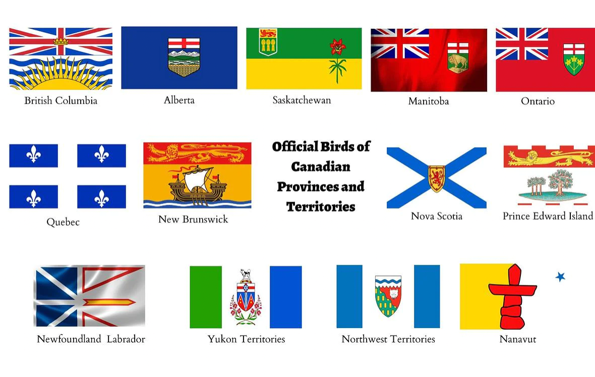 Match Birds to Provinces and Territories – Bird House Nature Company