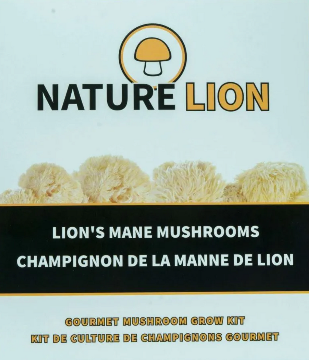 Nature Lion Lion's Mane Mushroom Kit – Bird House Nature Company