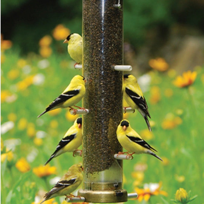 Tube Feeders – Bird House Nature Company