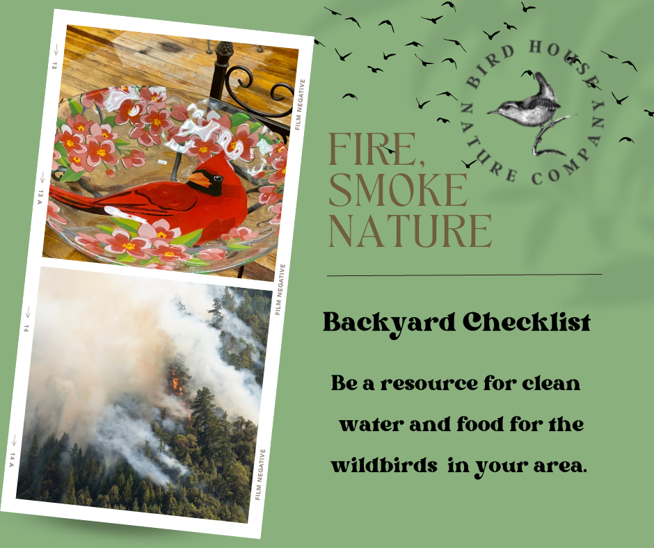 How Wild Birds are Affected by Wildfires – Bird House Nature Company
