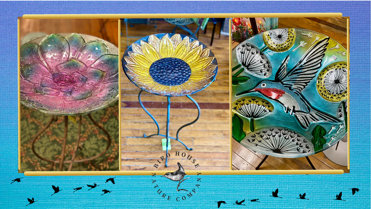 Providing A Reliable Source of Water – Bird House Nature Company