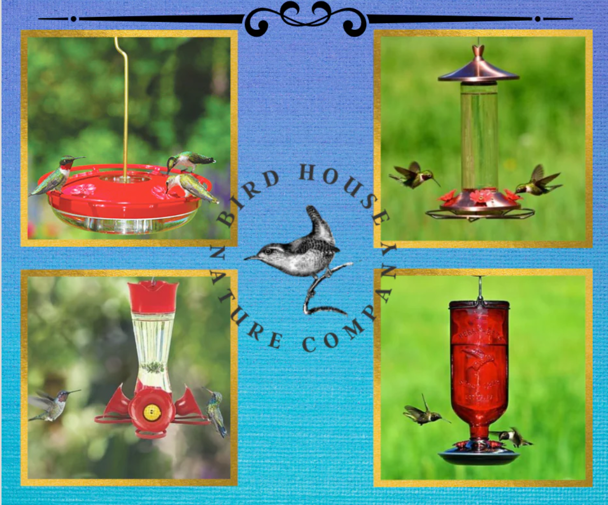 Migration and Hummingbirds – Bird House Nature Company