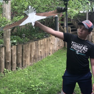 Osprey Kite – Bird House Nature Company